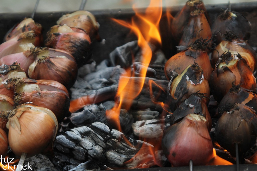 Soğan Kebabı : Tuzekmek